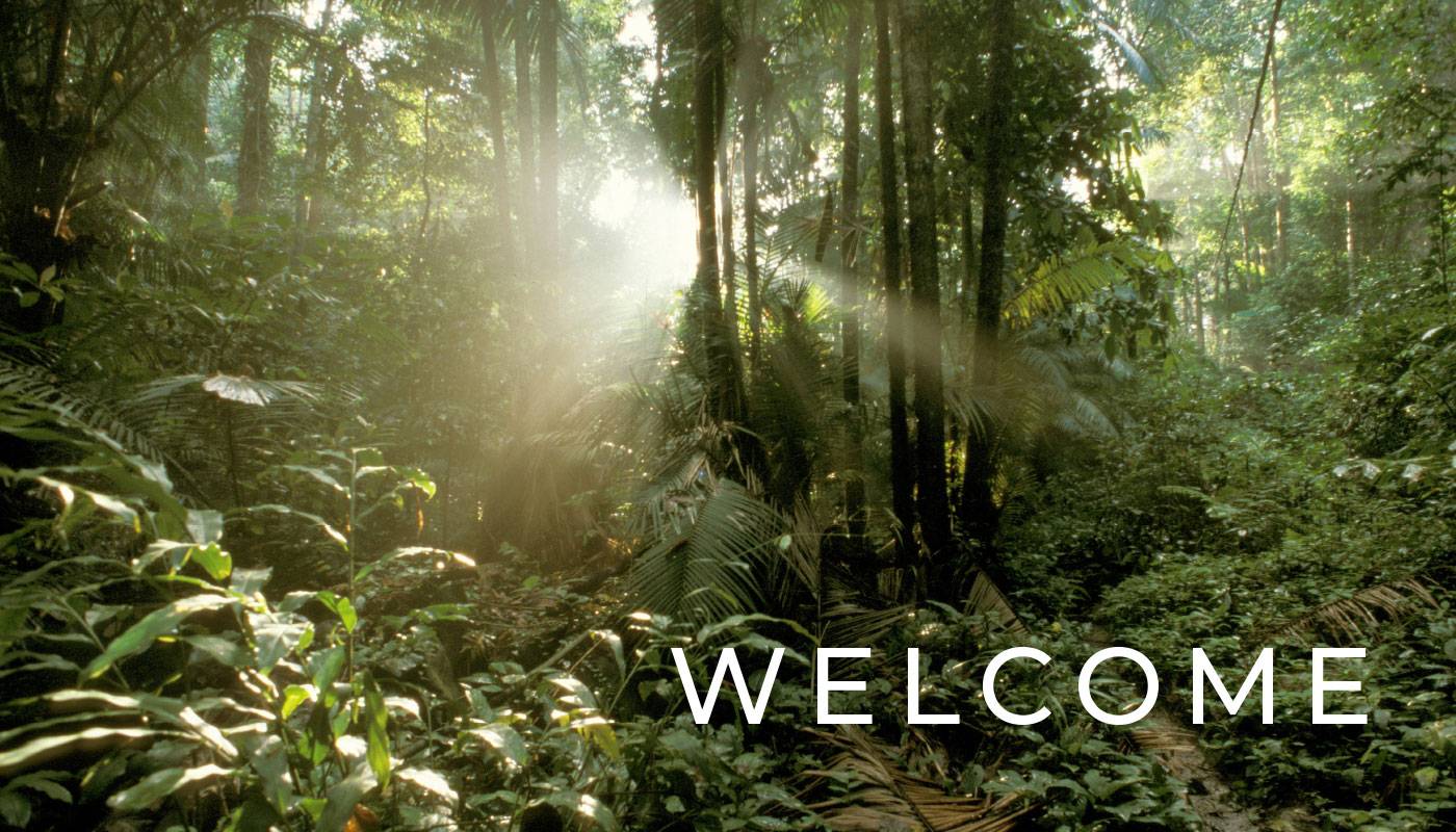 MTCC | MALAYSIAN TIMBER CERTIFICATION COUNCIL